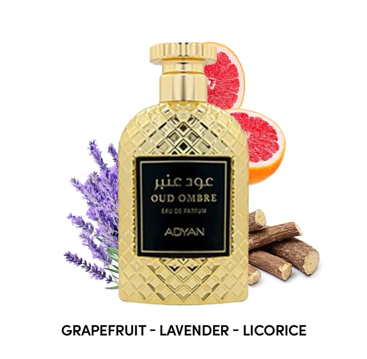 Oud Ombre – DP IMPORT